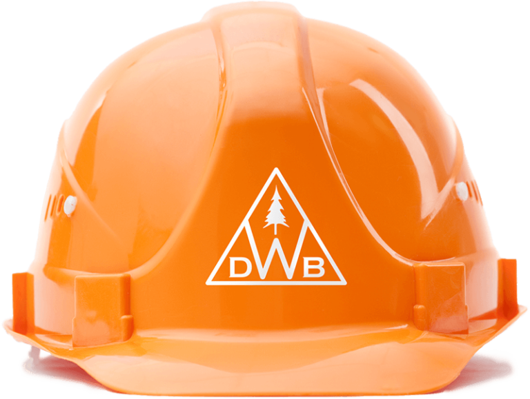 Engineering, Environmental & Forestry Services - DWB Consulting ...